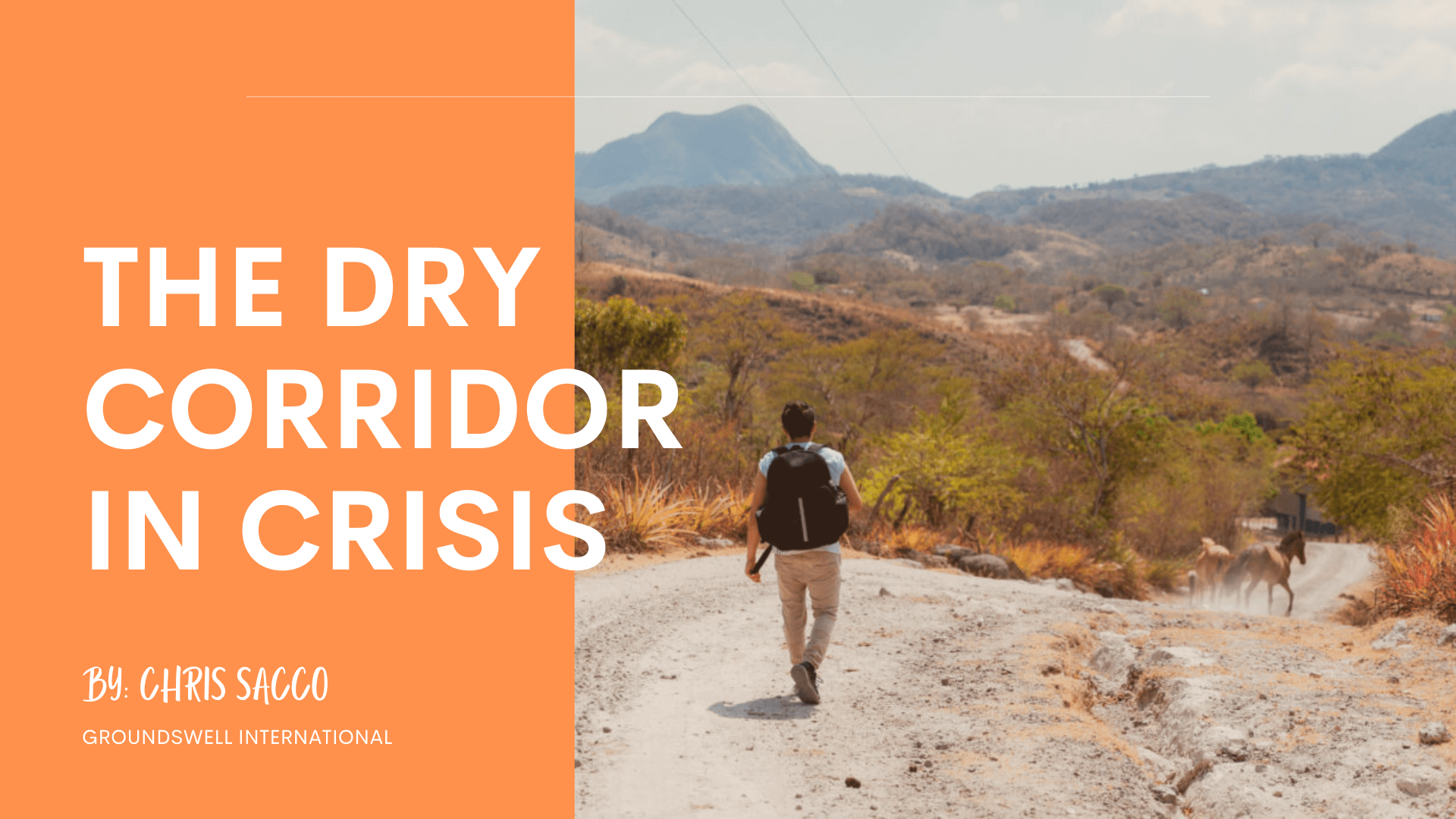 The Dry Corridor in Crisis - Groundswell International
