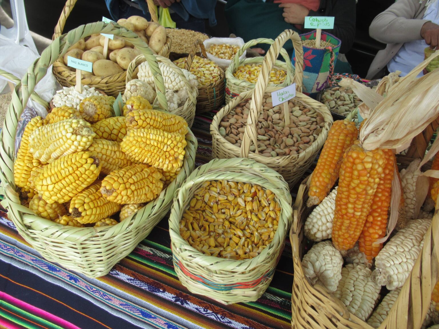 Indigenous Farming Systems in Ecuador: Lessons for Adapting to Climate ...