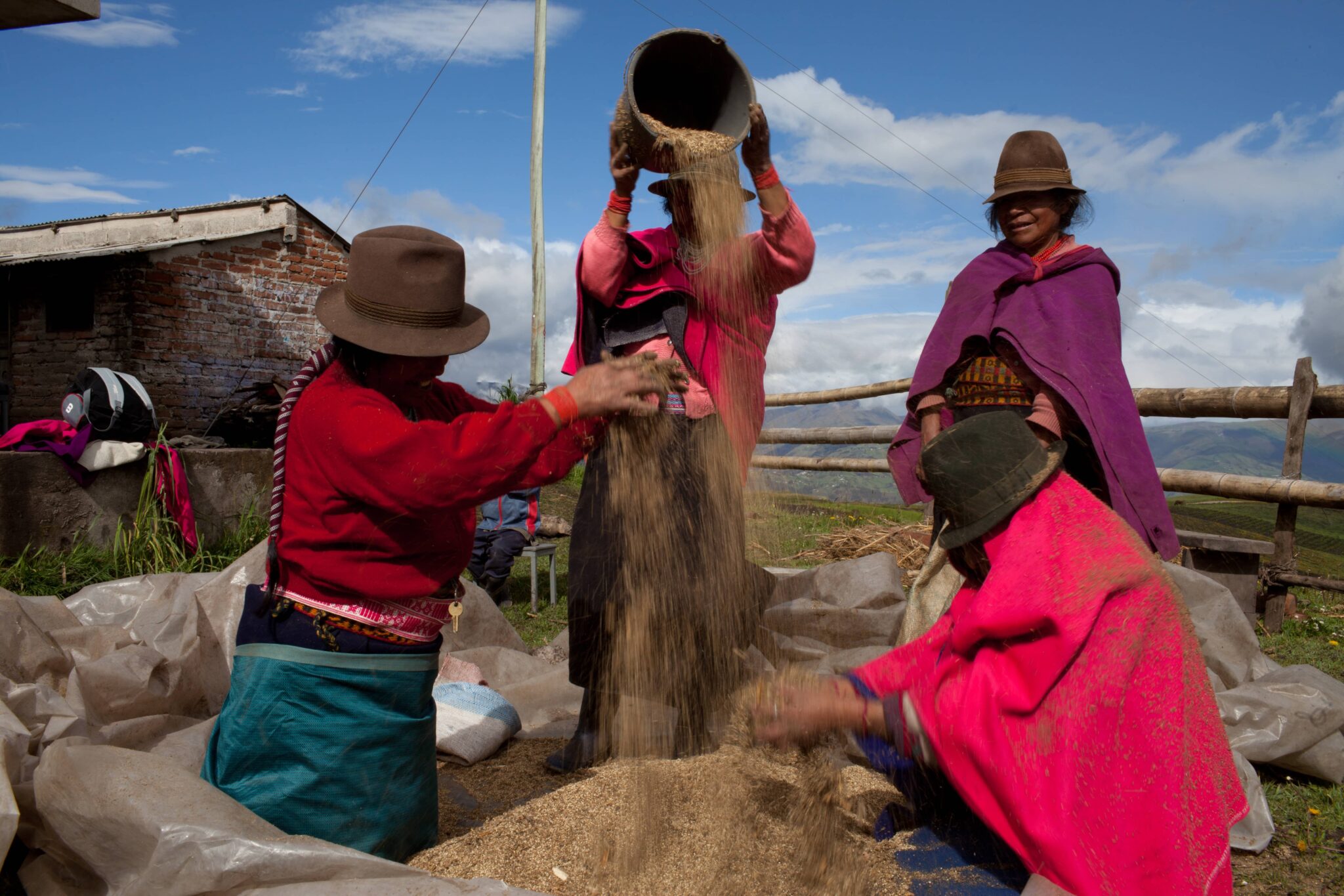 Indigenous Farming Systems in Ecuador: Lessons for Adapting to Climate ...