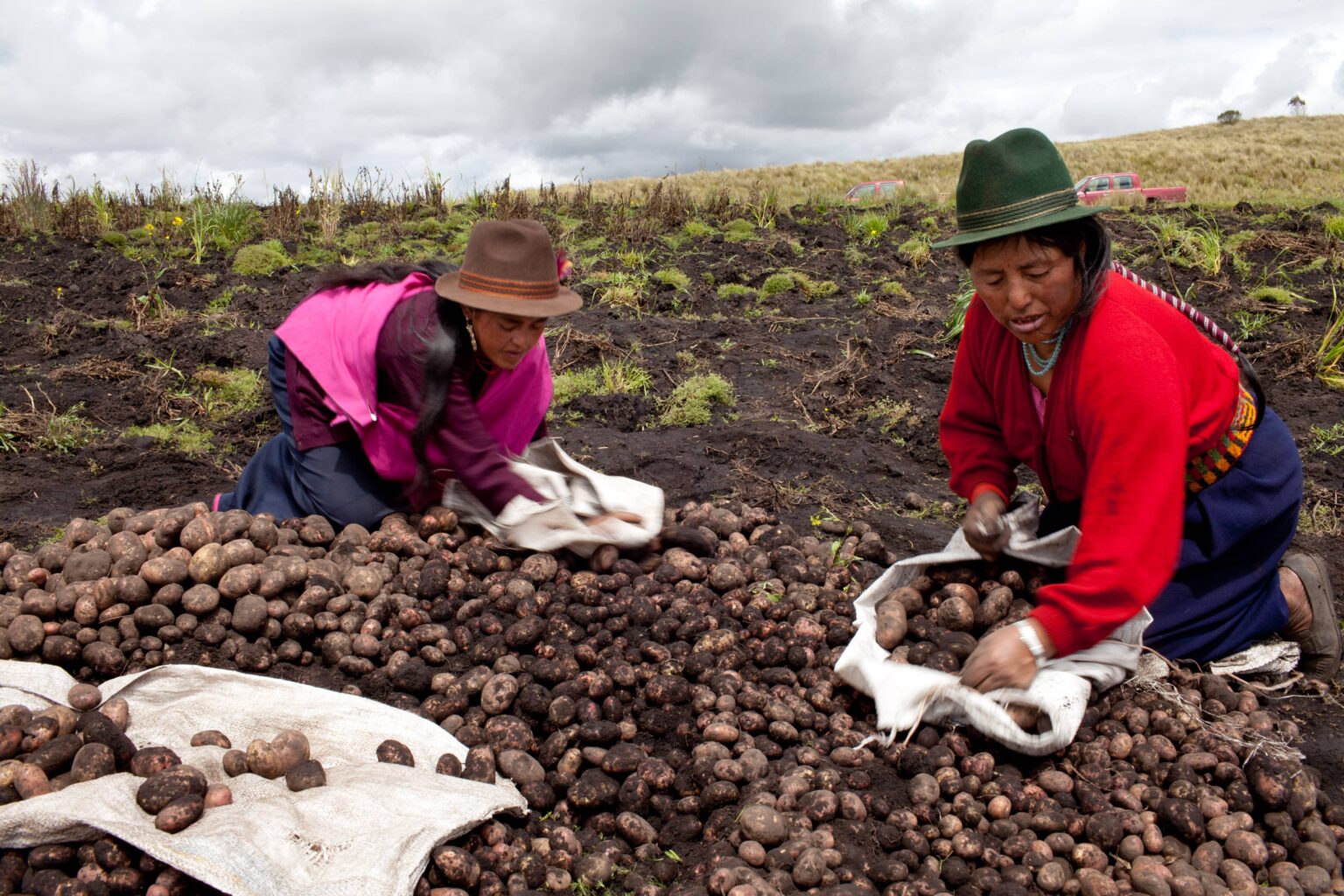 Indigenous Farming Systems in Ecuador: Lessons for Adapting to Climate ...