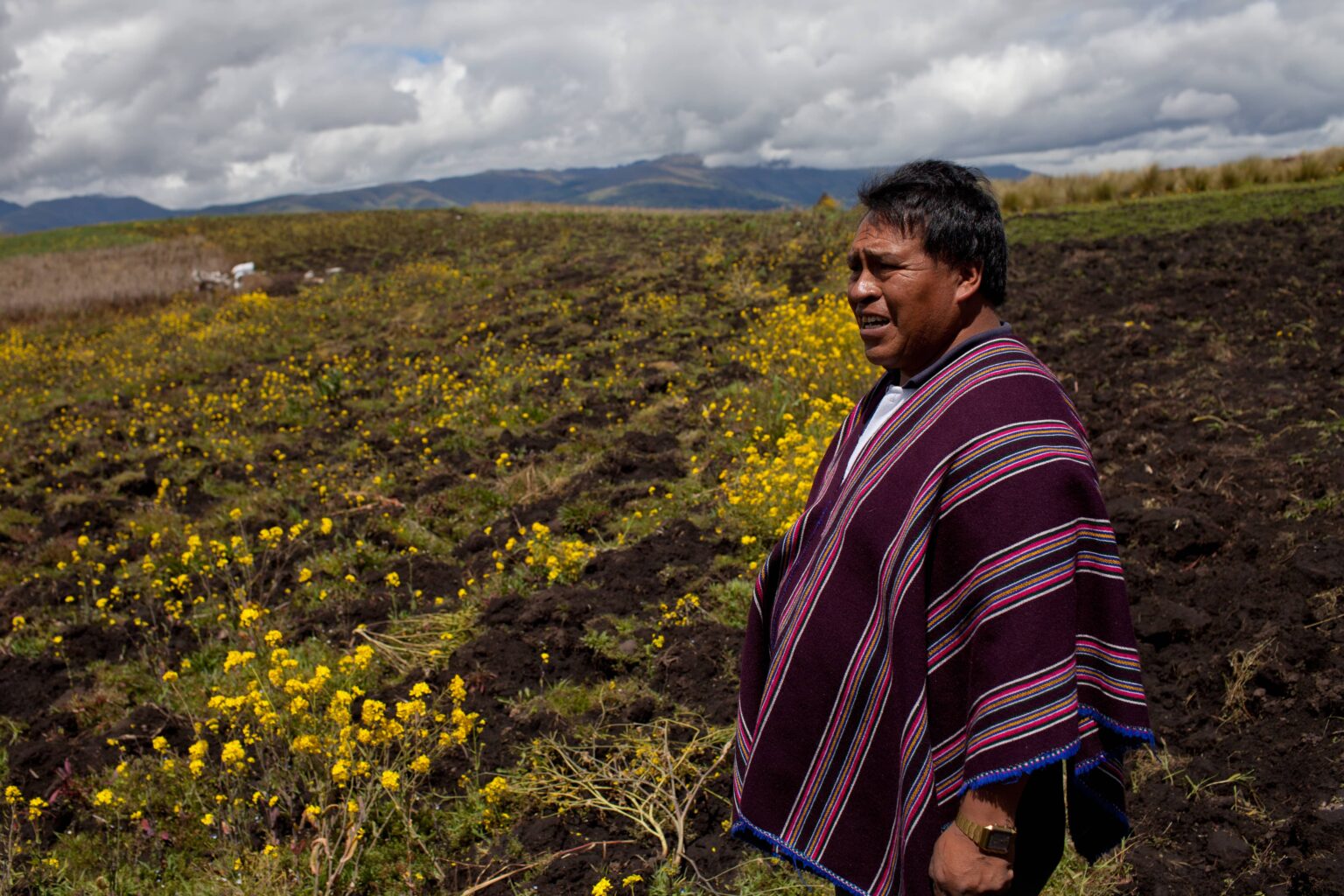 Indigenous Farming Systems in Ecuador: Lessons for Adapting to Climate ...