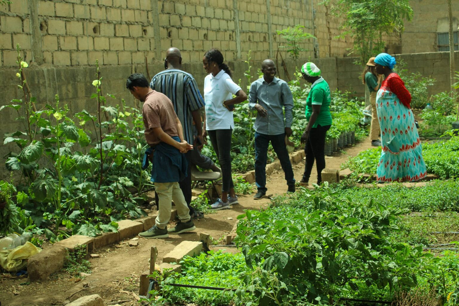 How Penda Turned a Dumping Ground into an Agroecological Urban Farm in ...